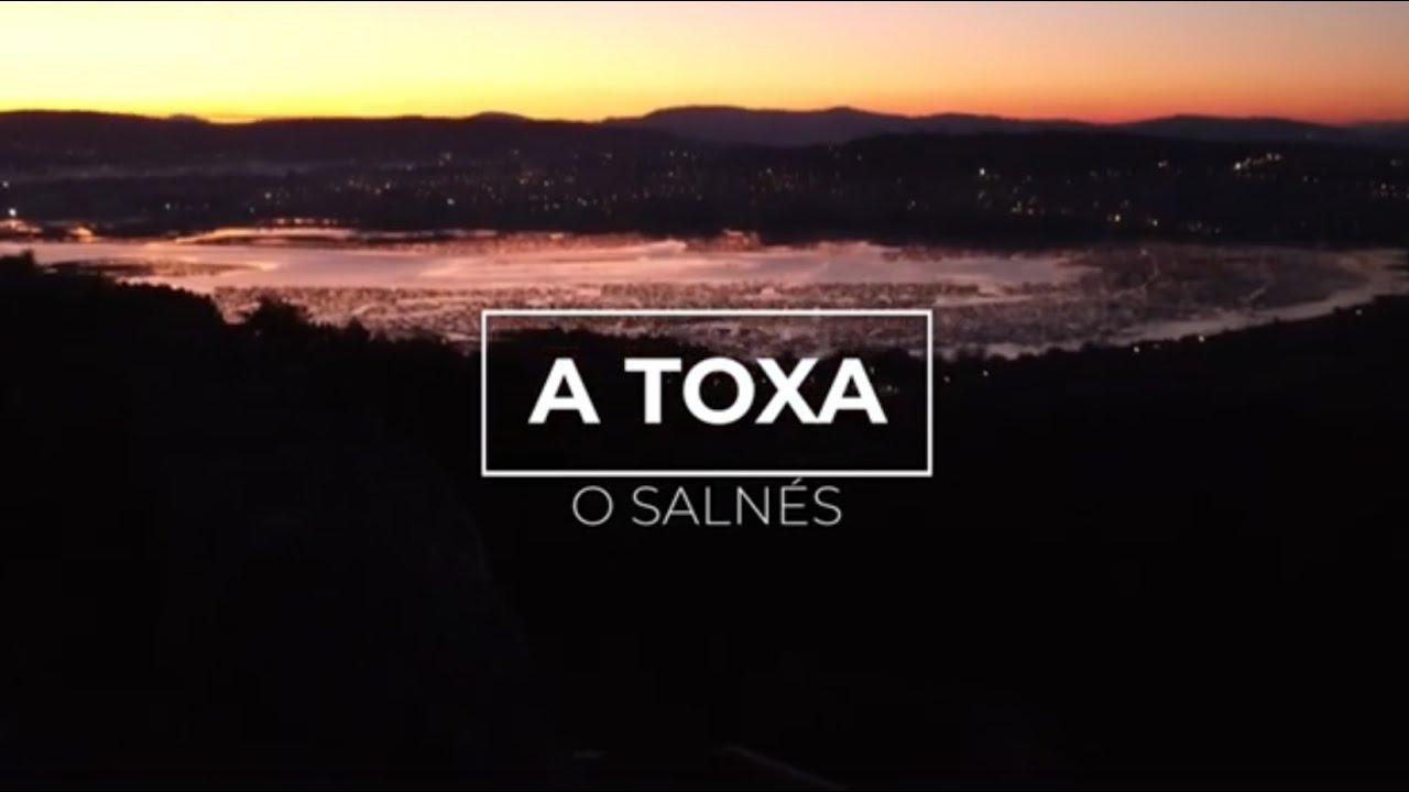 GN A TOXA TAMÉN E NATURAL - YouTube