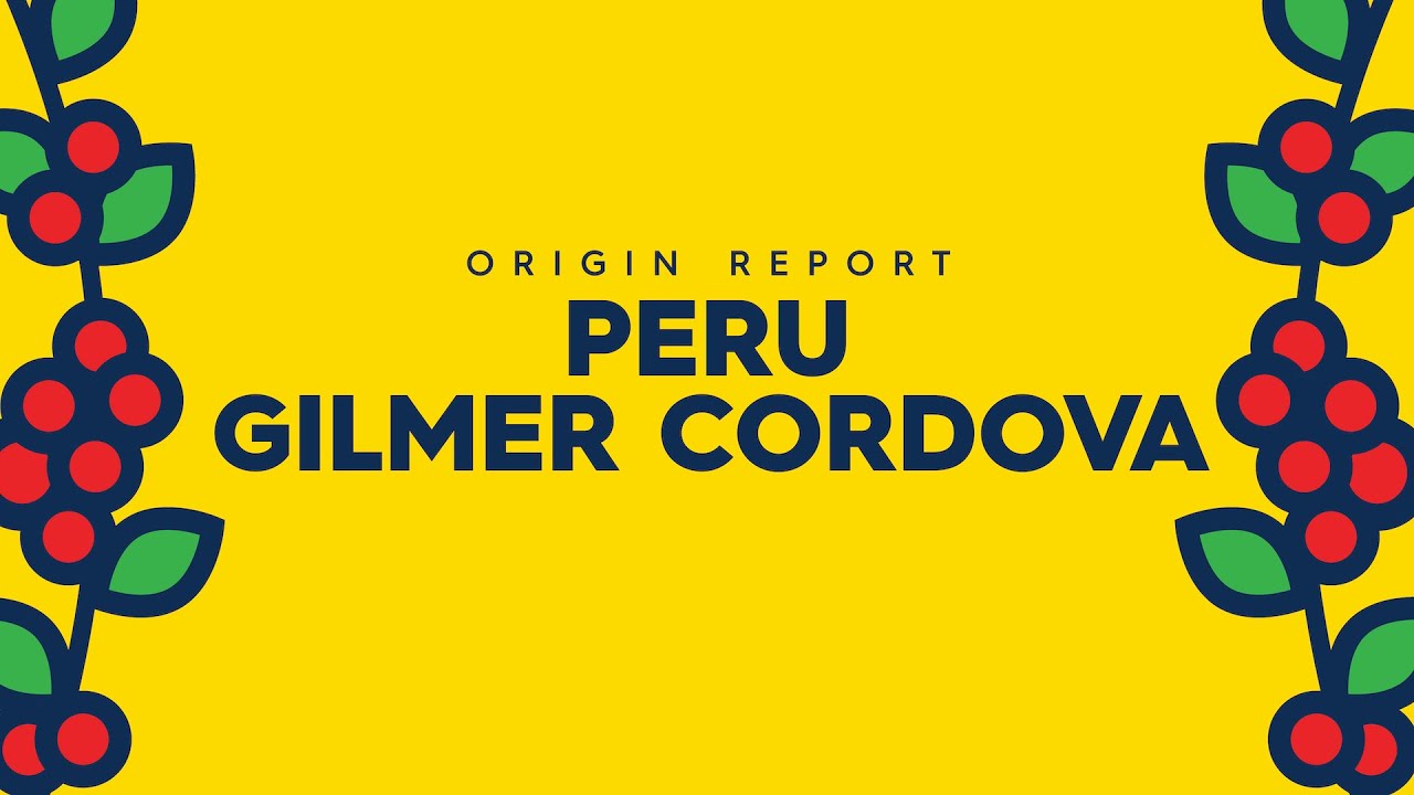 Coffee Report: Peru Gilmer Cordova Mejia - YouTube