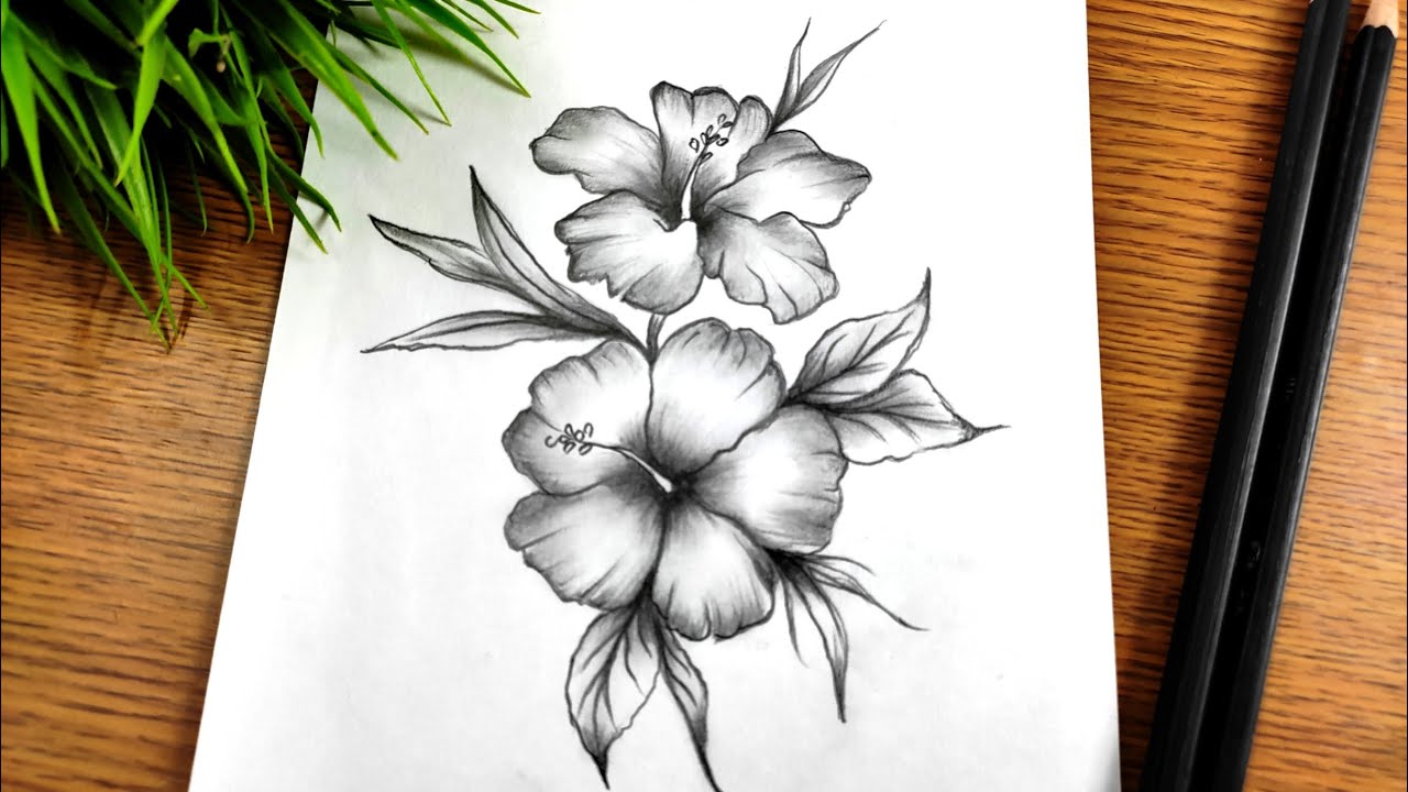 Easy Creative Pencil Drawings
