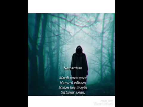 Gulcin Damla Namerdsen