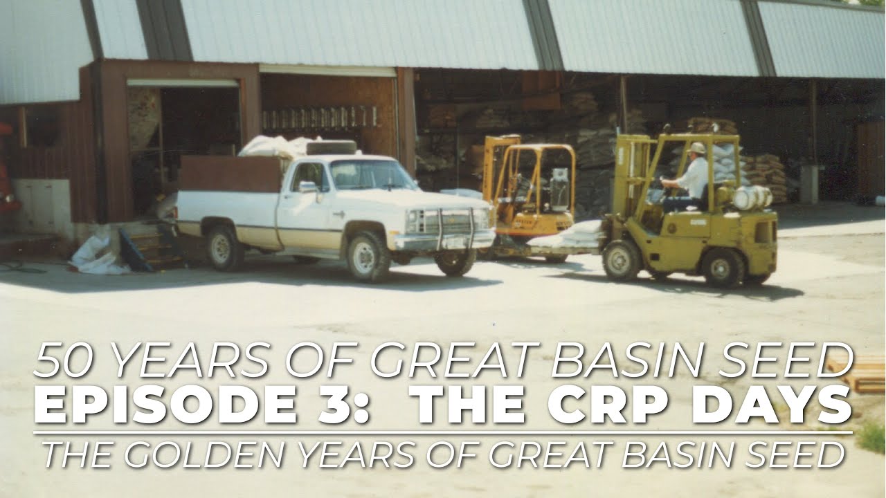 50 Years of Great Basin Seed - Ep. 3: The CRP Days - YouTube