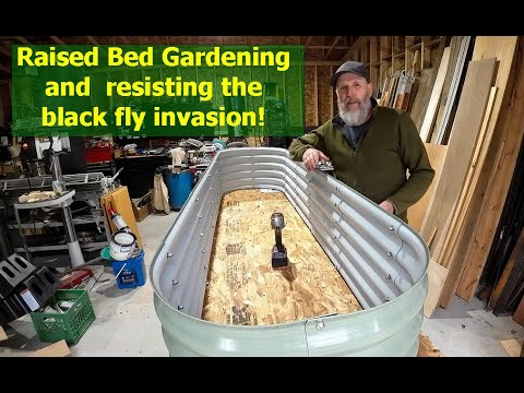 Raised Beds | Food Garden Planting | Black Fly Invasion! - YouTube