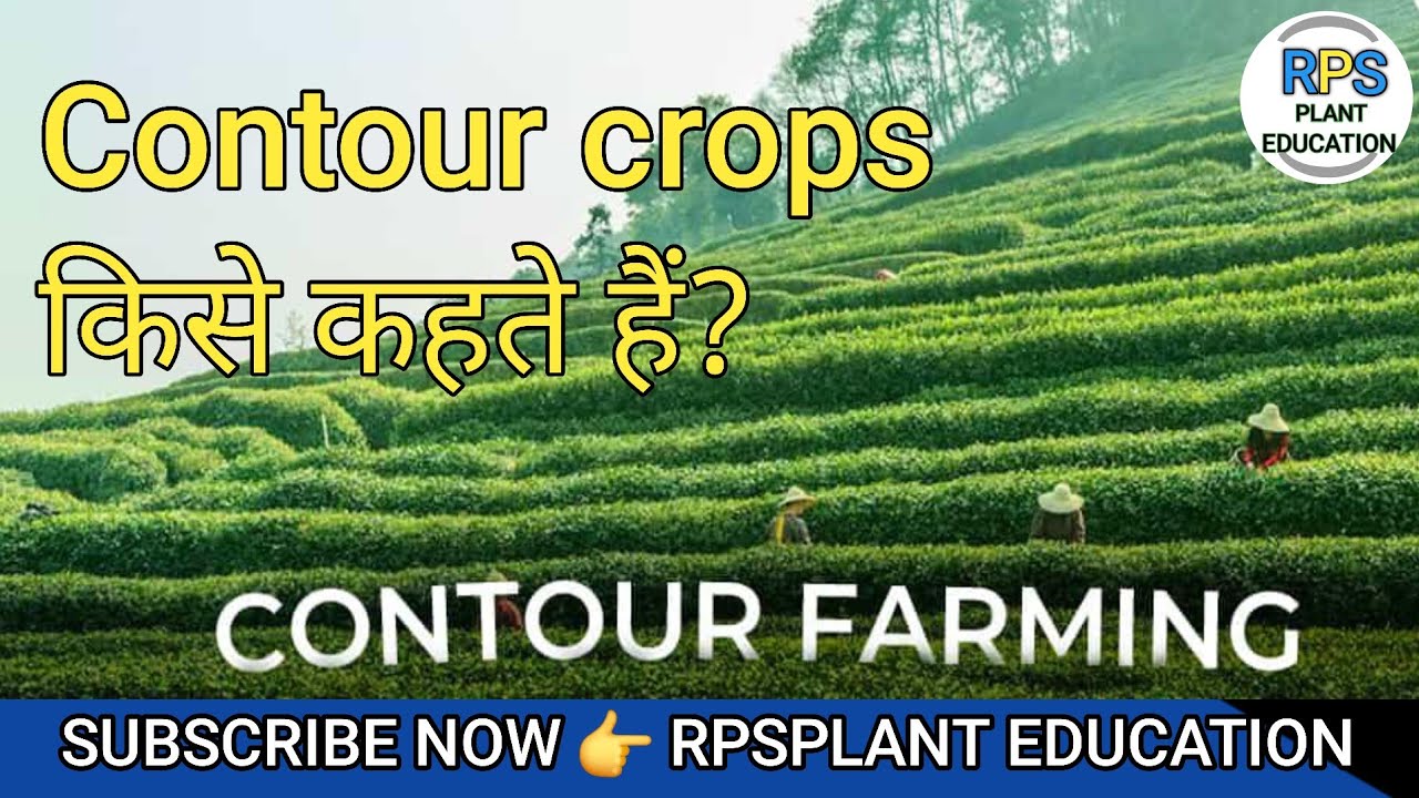 कंटूर फसल क्या हैं ?। Contour crops । Contour crops kise kahate hain ...
