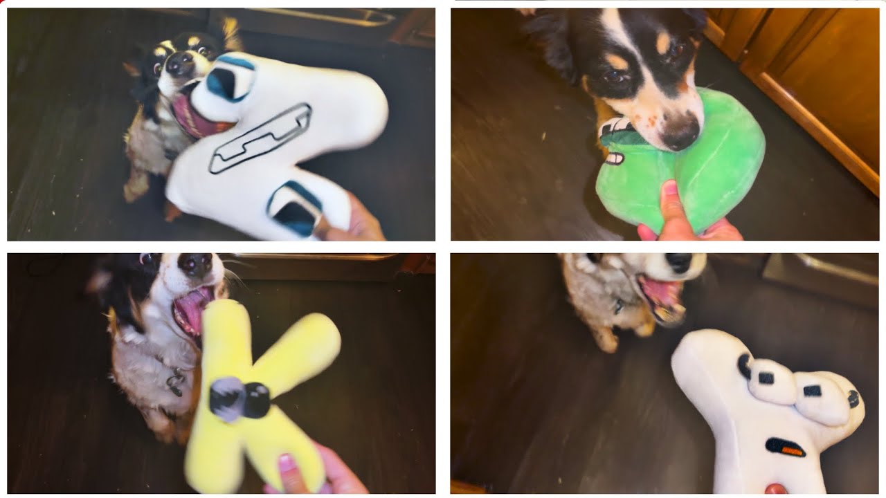ALL Alphabet Lore Plushies VS Dog - YouTube