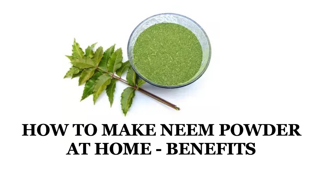 How to make NEEM POWDER at home in 2mins - very easy - YouTube