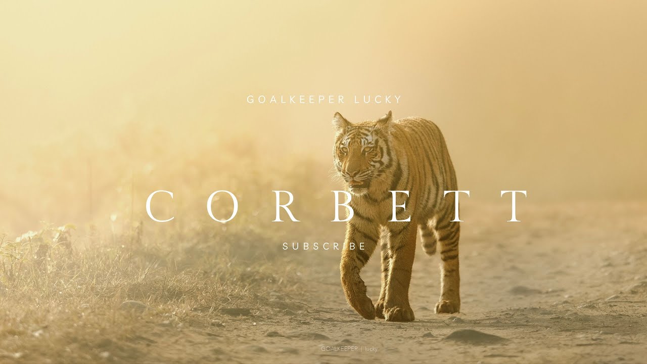 CORBETT - YouTube