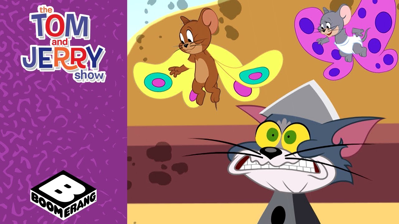 DIY Butterfly Wings Disaster! 🎨🦋| Tom & Jerry Show | Boomerang UK - YouTube