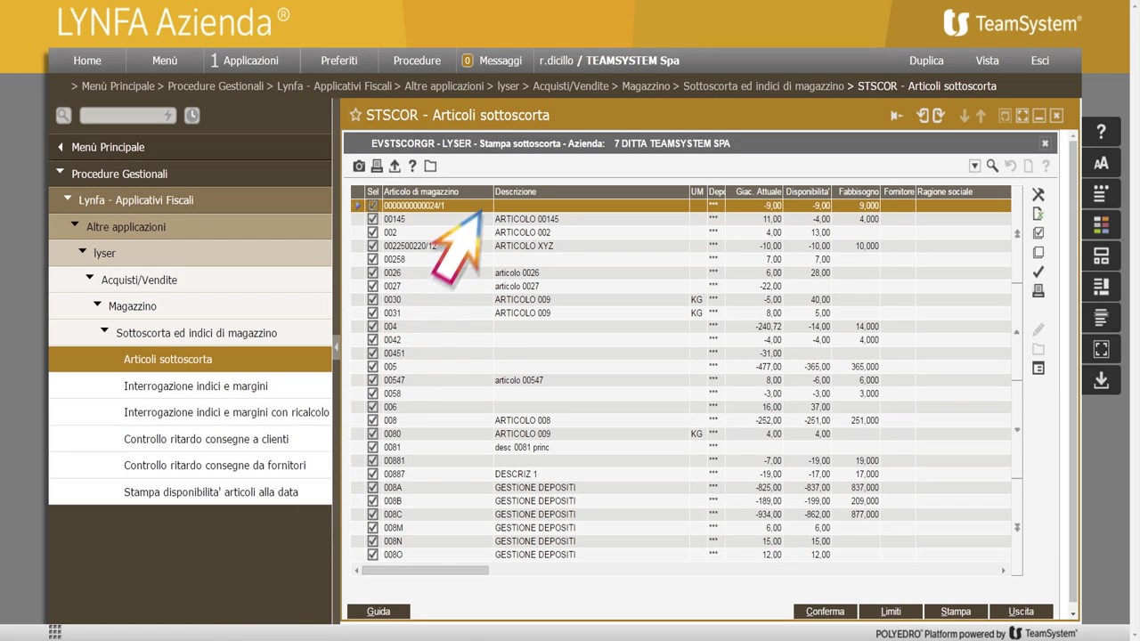 LYNFA Azienda Inserimento dati da remoto - YouTube