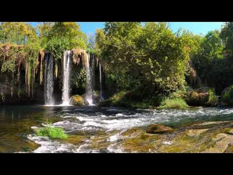 В. Р. Дольник - Непослушное дитя биосферы. Часть 1. Археология ...