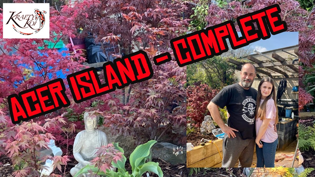 Dream Koi Pond Part 5 - We're on the way. My Acer Bed and the dog ...