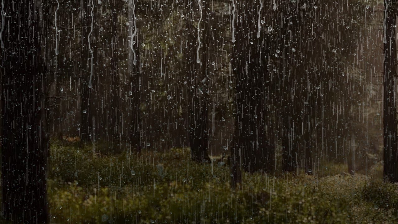 Fall asleep quickly in 5 minutes with the sound of rain / heavy rain in ...
