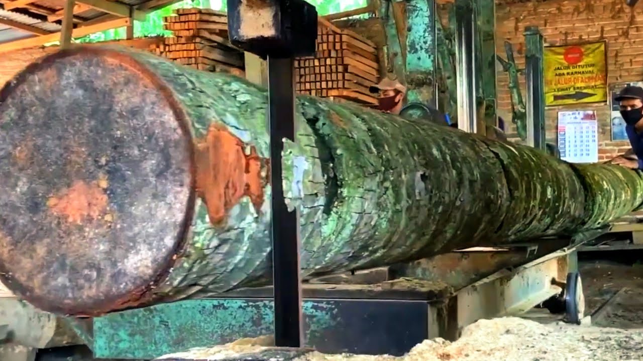 The longest and most beautiful ancestral wood - YouTube