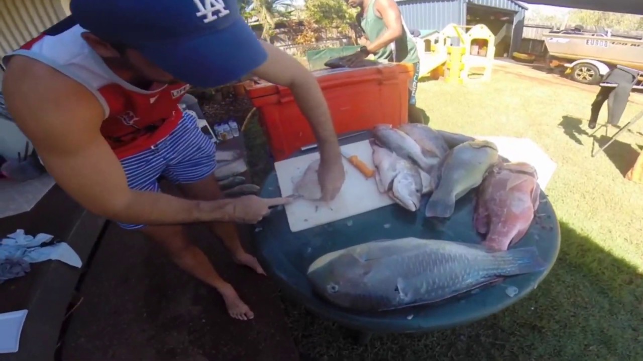 DAY TRIP REEF HUNTING WITH THE BOYS - YouTube