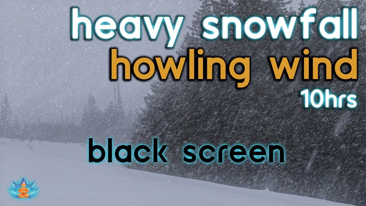 [Black Screen] Heavy Snowfall | Howling Wind | Snowstorm Sounds for ...