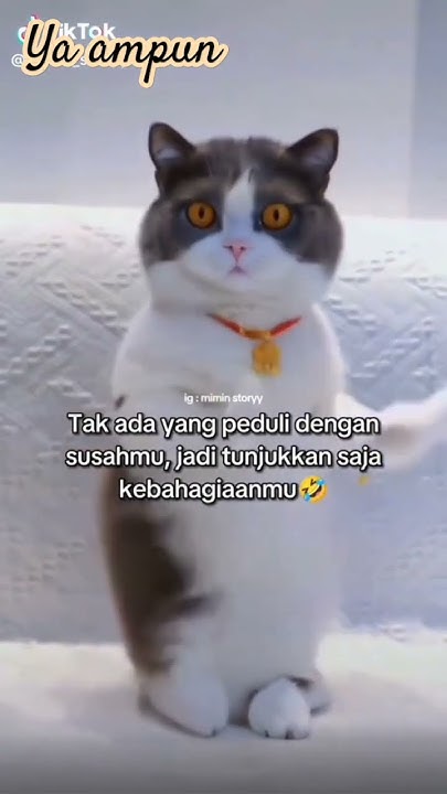 ya ampun lucu banget - YouTube