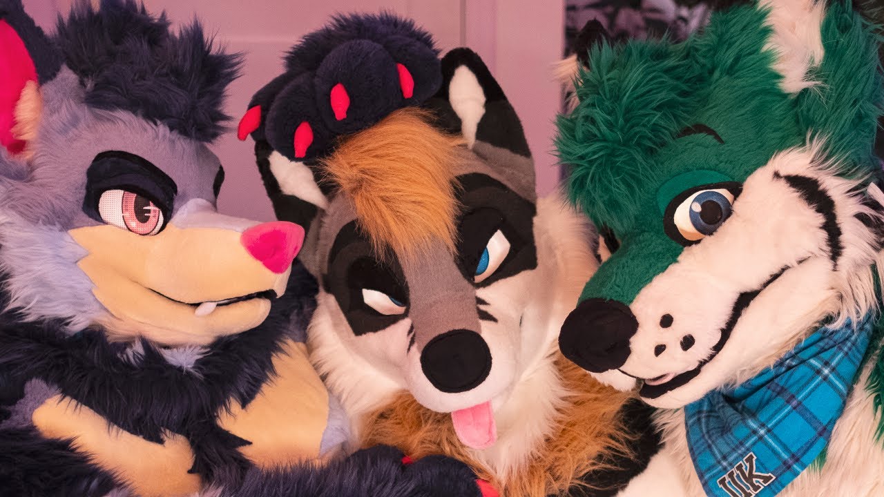 Furry Hotel Room "Activities" At MFF - YouTube