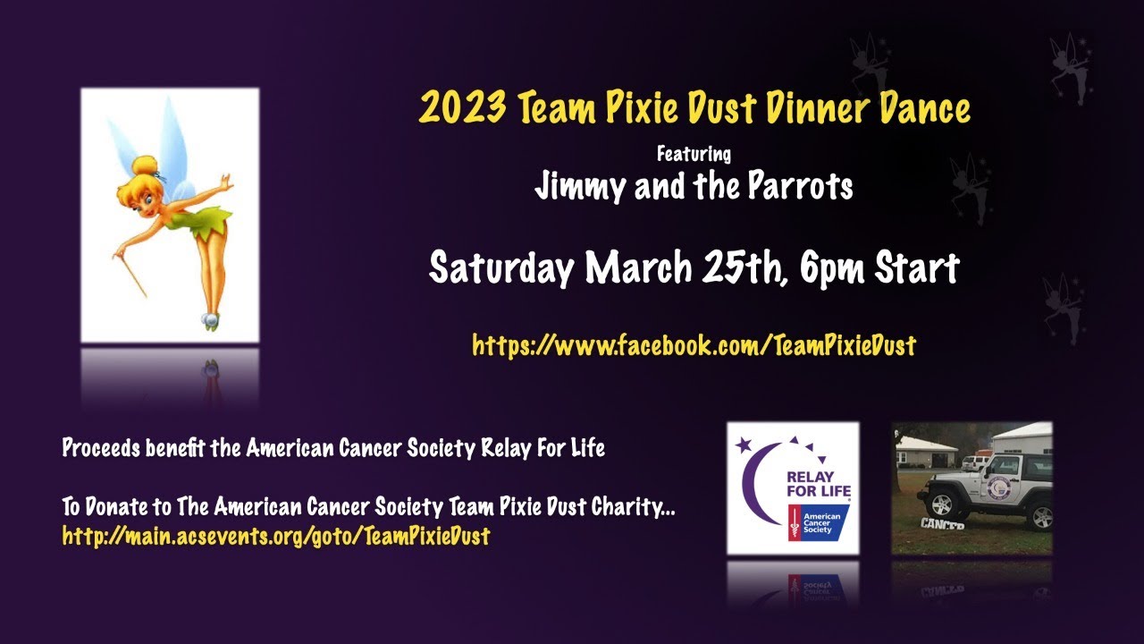 2023 Team Pixie Dust Dinner Dance - YouTube