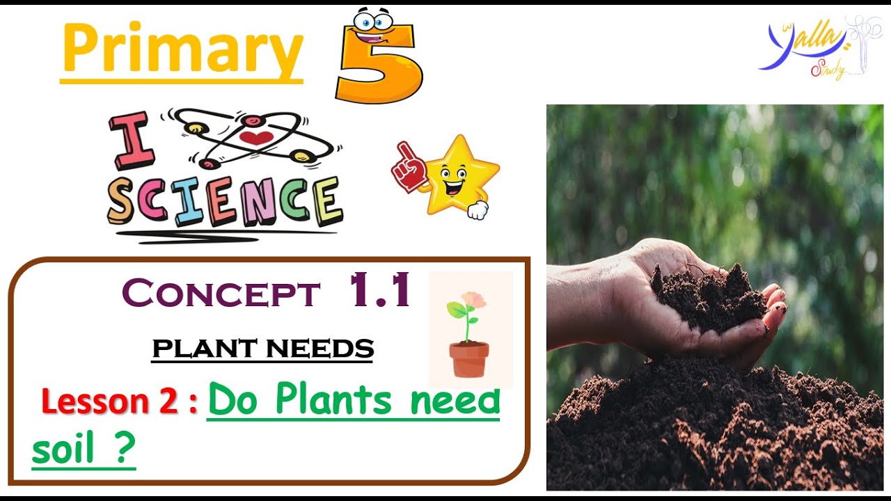 Science | Primary 5 | lesson 2| concept 1.1| what do we know about ...
