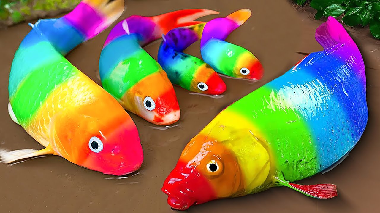 Stop Motion Cooking ASMR Colorful Koi Cow, ikan & Big Frog 다채로운 잉어물고기 ...