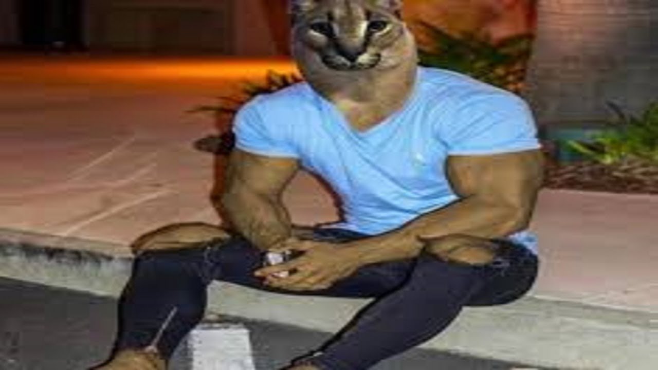 top 5 floppas - YouTube