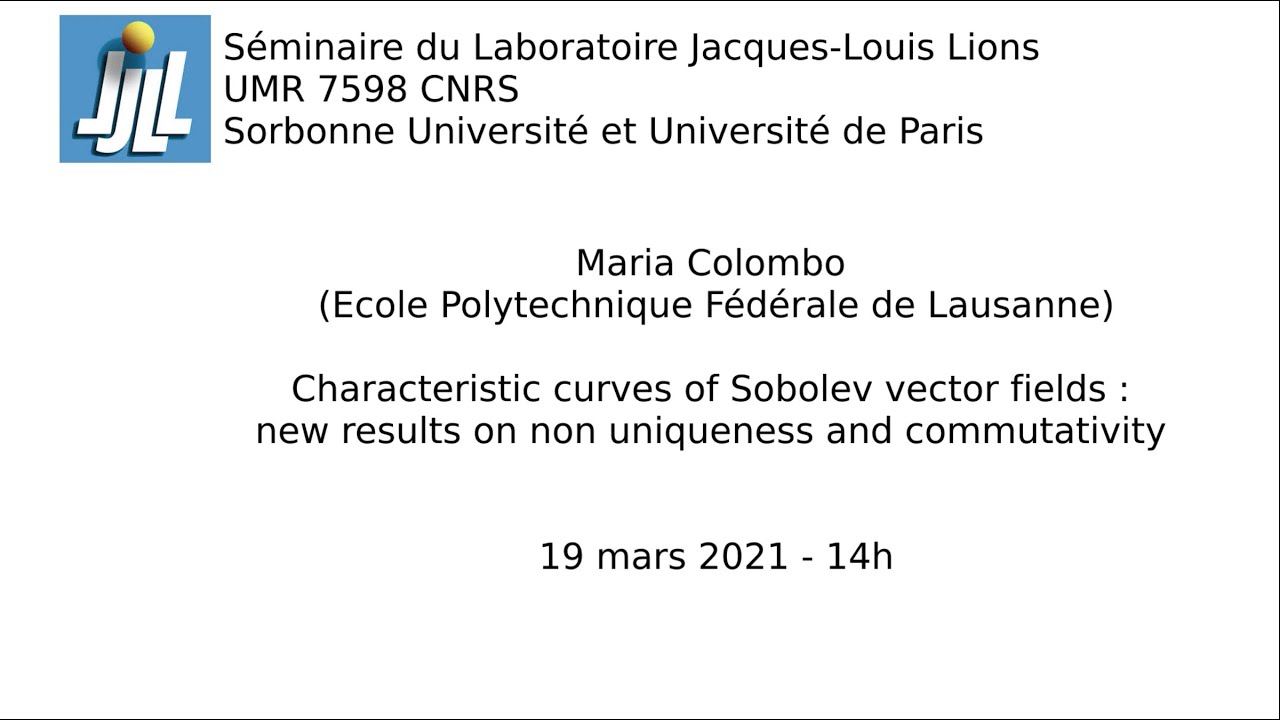 Séminaire du LJLL 2021 03 19 Maria Colombo - YouTube