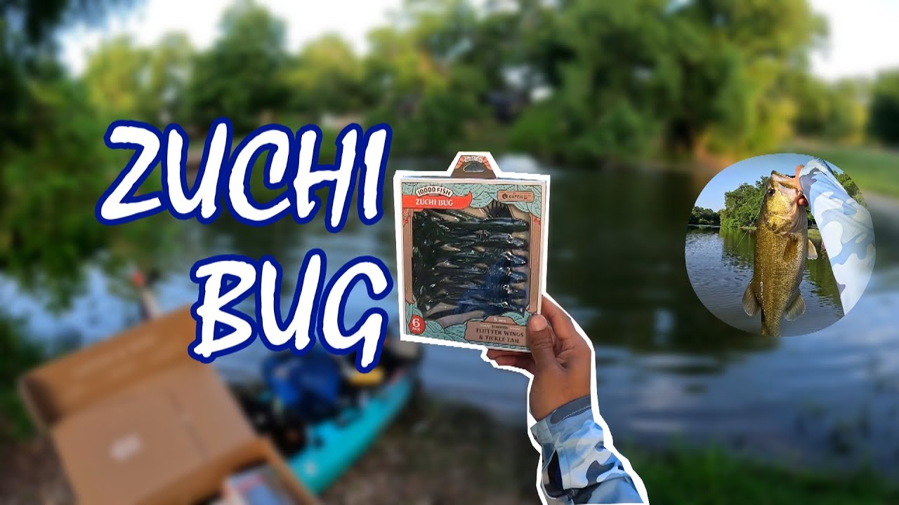 The ZUCHI BUG, Does It Catch FISH??? // Mystery Tackle Box - Texas ...