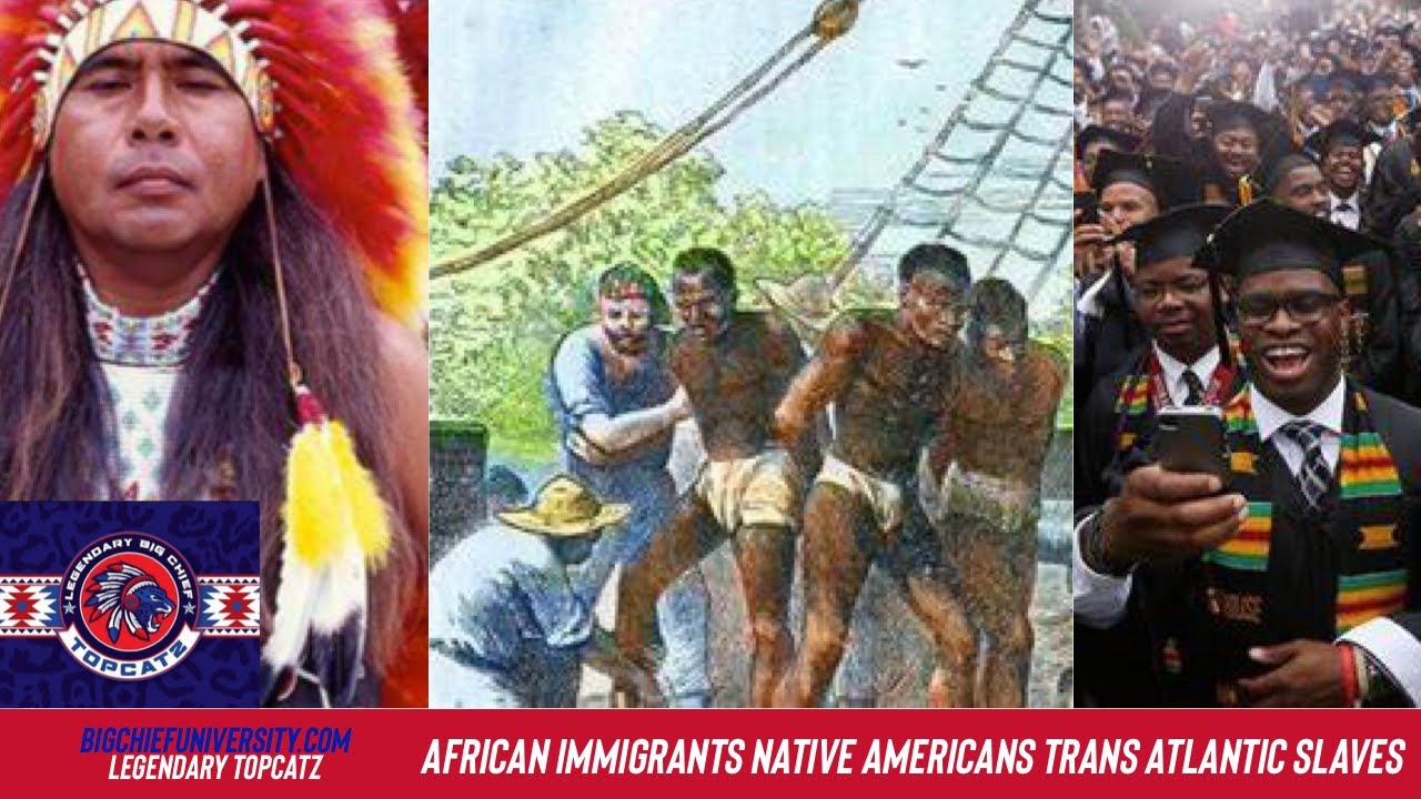 AFRICAN IMMIGRANTS NATIVE AMERICANS AFRICAN SLAVE TRADE VICTIMS # ...