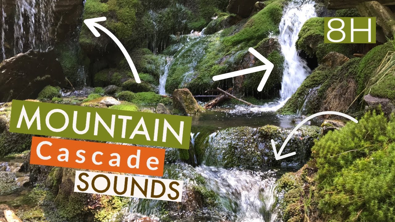 Mountain forest Cascade sounds in Giant Mountains I ASMR real surround ...