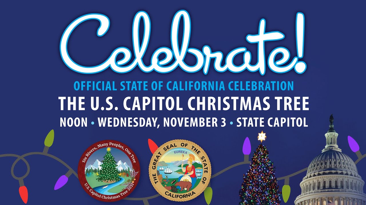 Sen. McGuire: Capitol Christmas Tree Event - YouTube