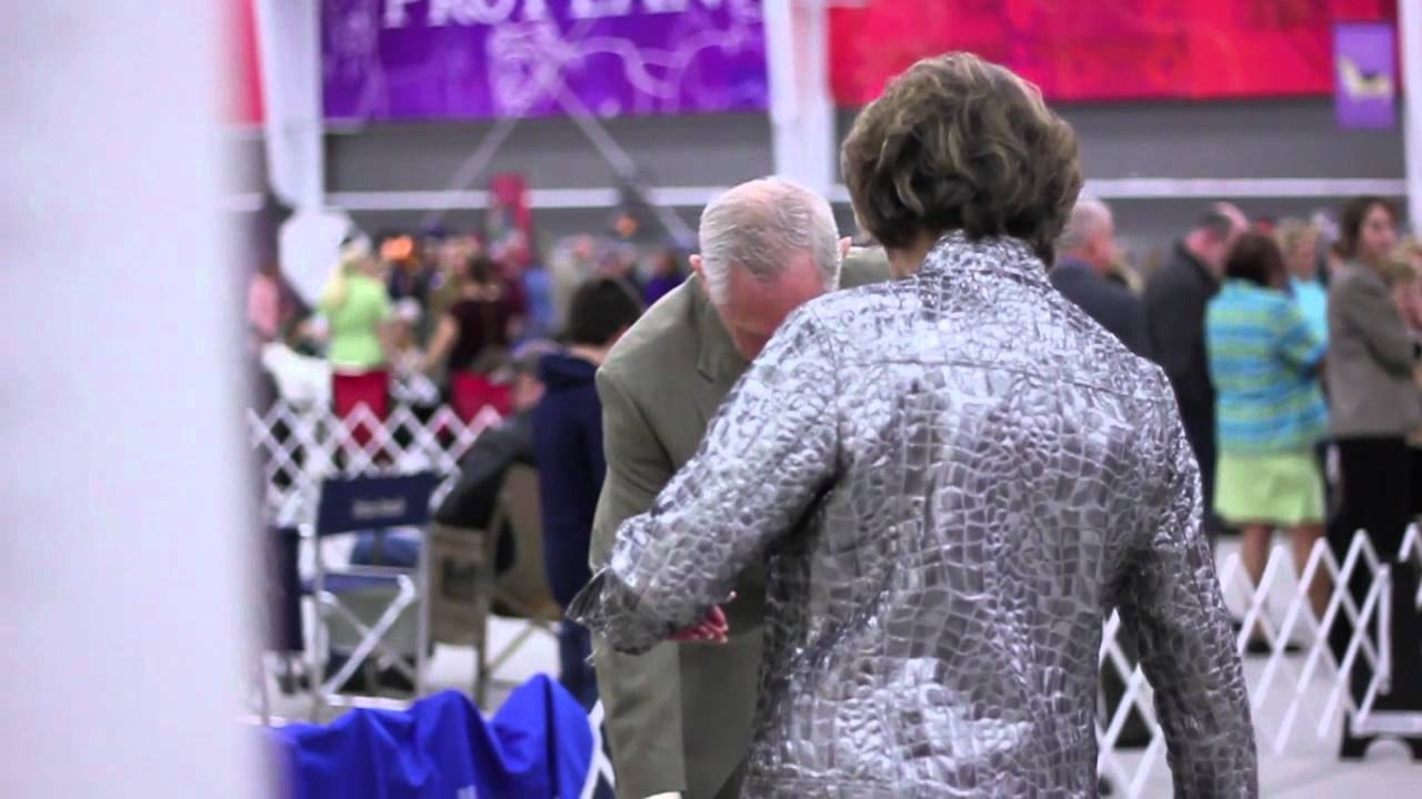 2012 Show Dog Championship - AKC Judge Feature - YouTube