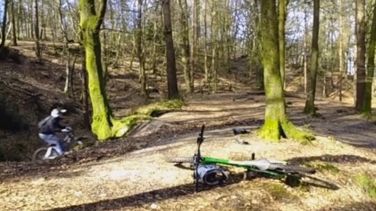 Puddletown forest trails - YouTube