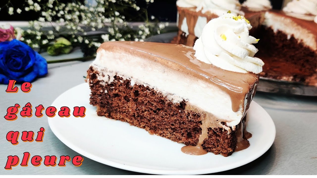Le célèbre gâteau turc, le gâteau qui pleure 😭 ! Très facile et rapide ...