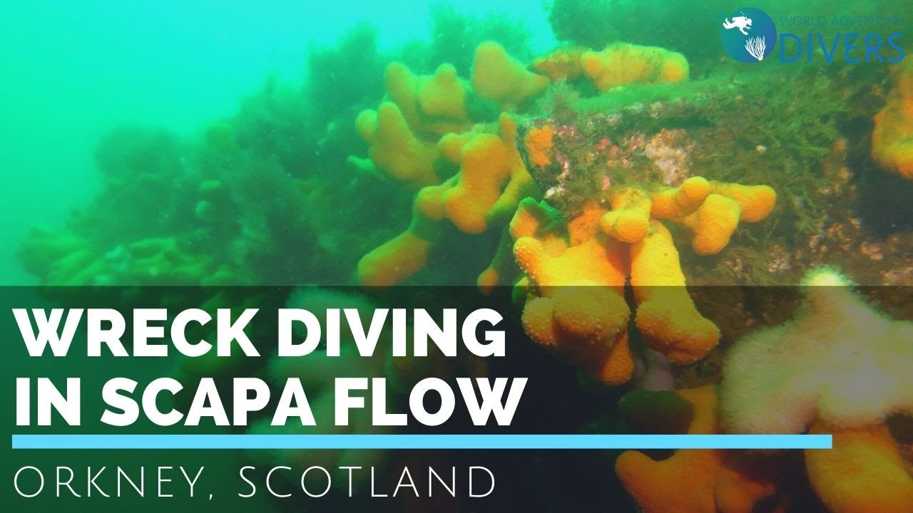 Scuba diving in Scotland : Scapa Flow & Churchill Barriers, Orkney ...