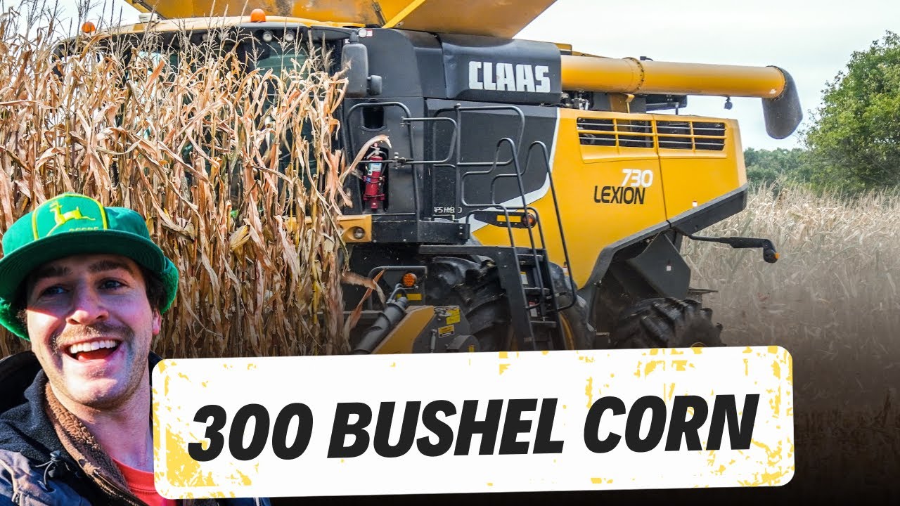 Corn is Taller Then the Combine [ Monster Yields ] Harvest Take Over 5 ...