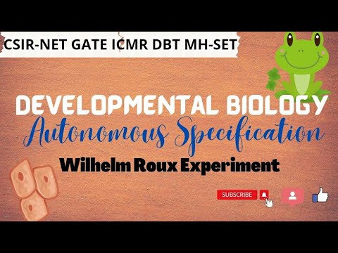 Wilhelm Roux Experiment l Autonomous Specification l Developmental ...