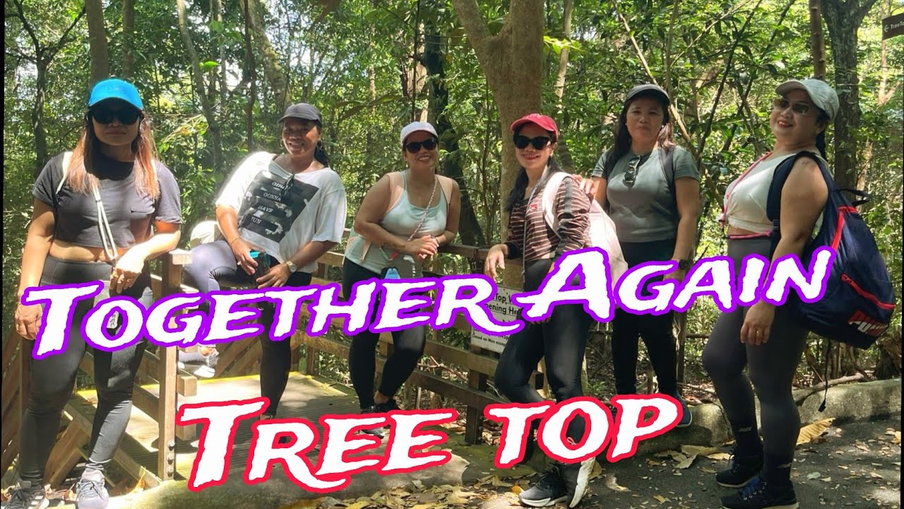BALIK SA TREE TOP WALK ULIT HIKING+ MILKTEA| Dhayenz Jore - YouTube