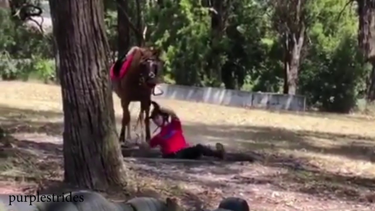 Funny Horse Fails & Falls 2019 | Equi Rider - YouTube