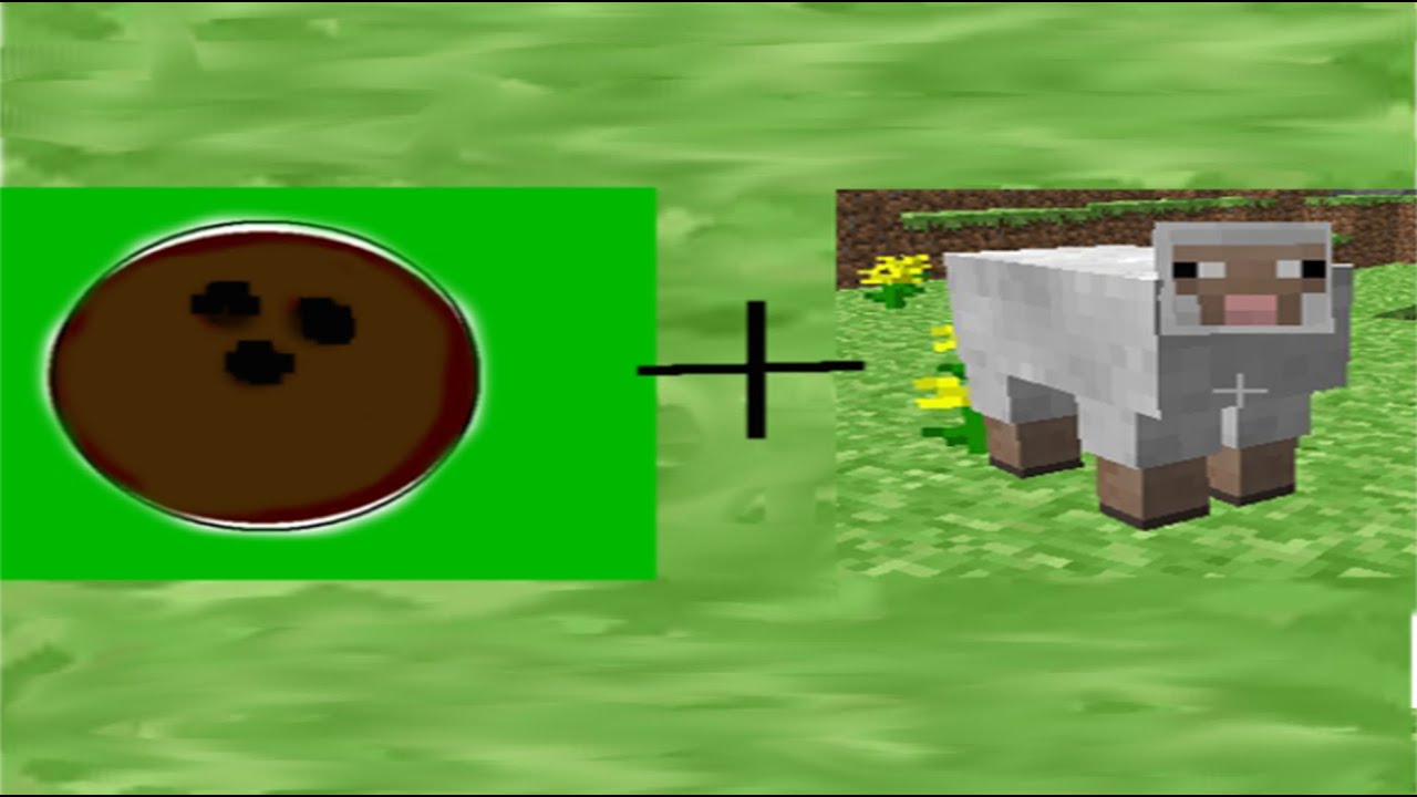 How to Make Coconut Sheep - YouTube