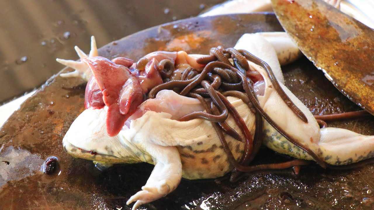 Meet And Catch Cook Frogs in Pig intestine Delicious - YouTube