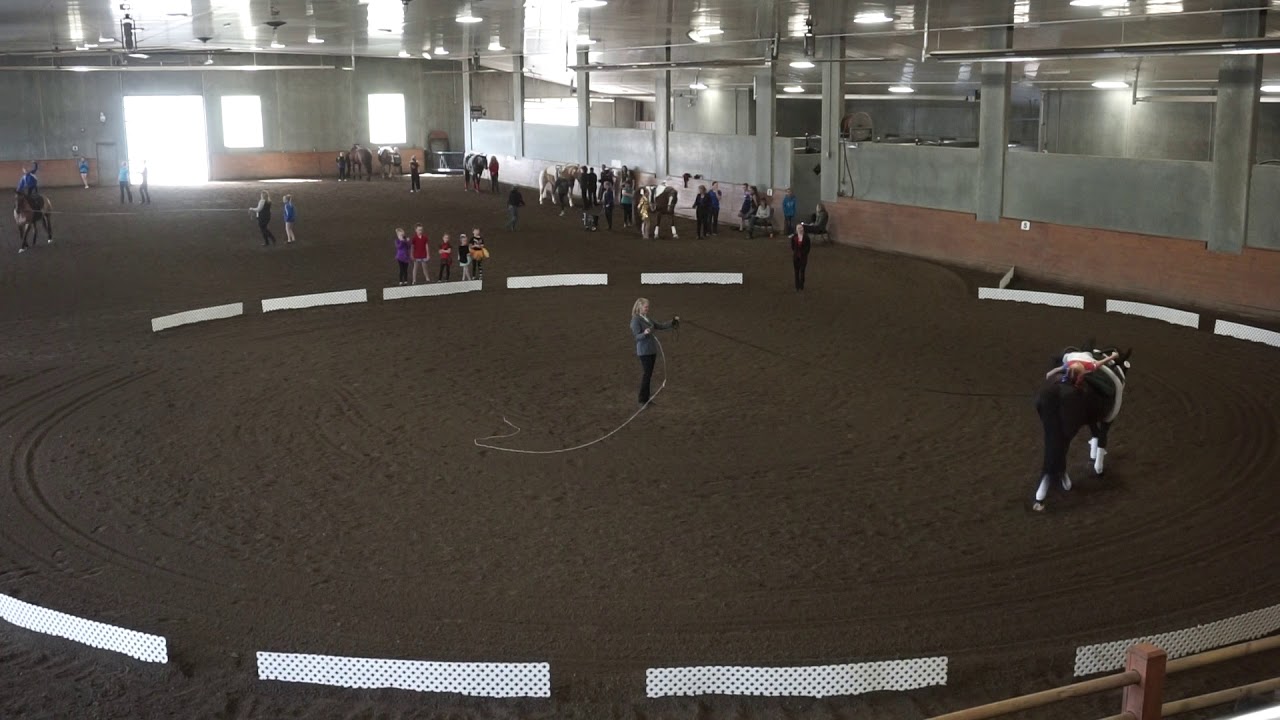 Diamond Willow Vaulting Kamryn Church Freestyle Walk C 10 and over 2018 ...