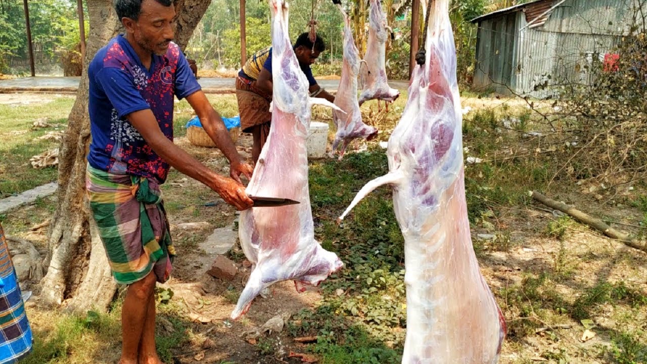 Amazing Goat Cutting Techniques 4 (Four) Goat Cutting Video || Amazing ...