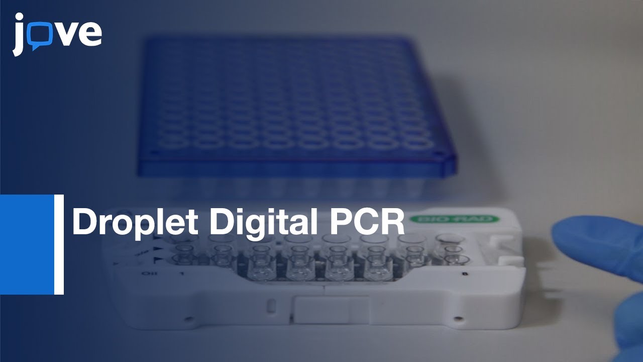 MicroRNA Quantification: DNA-Binding Dye Chemistry & Droplet Digital ...