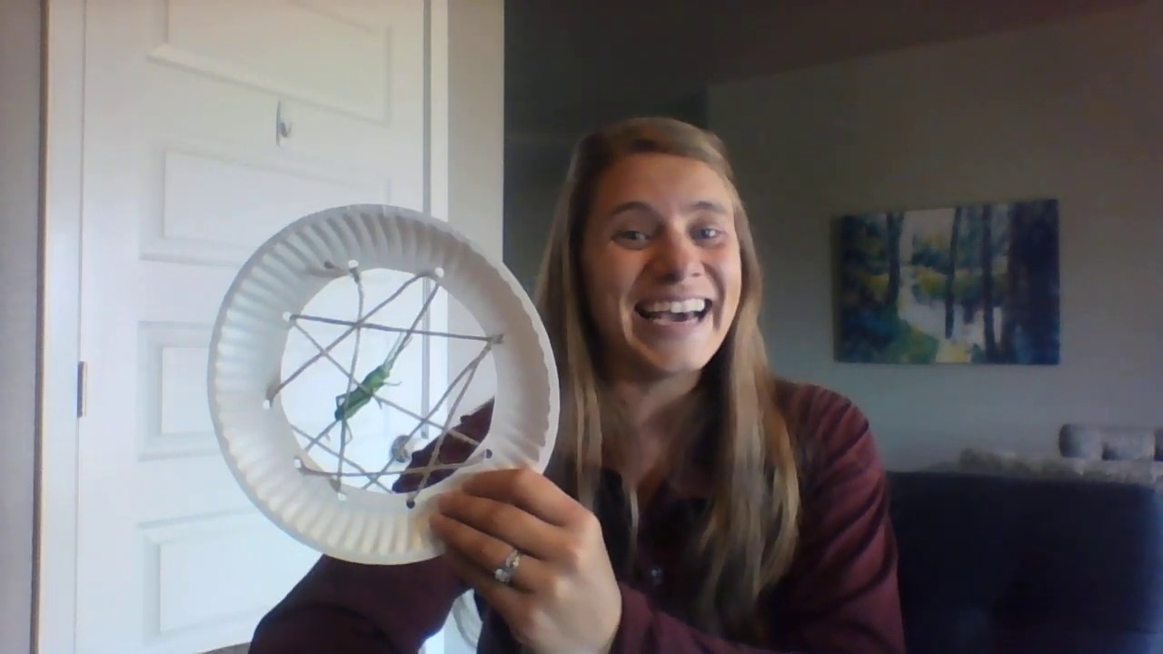 Spider Web Craft - YouTube