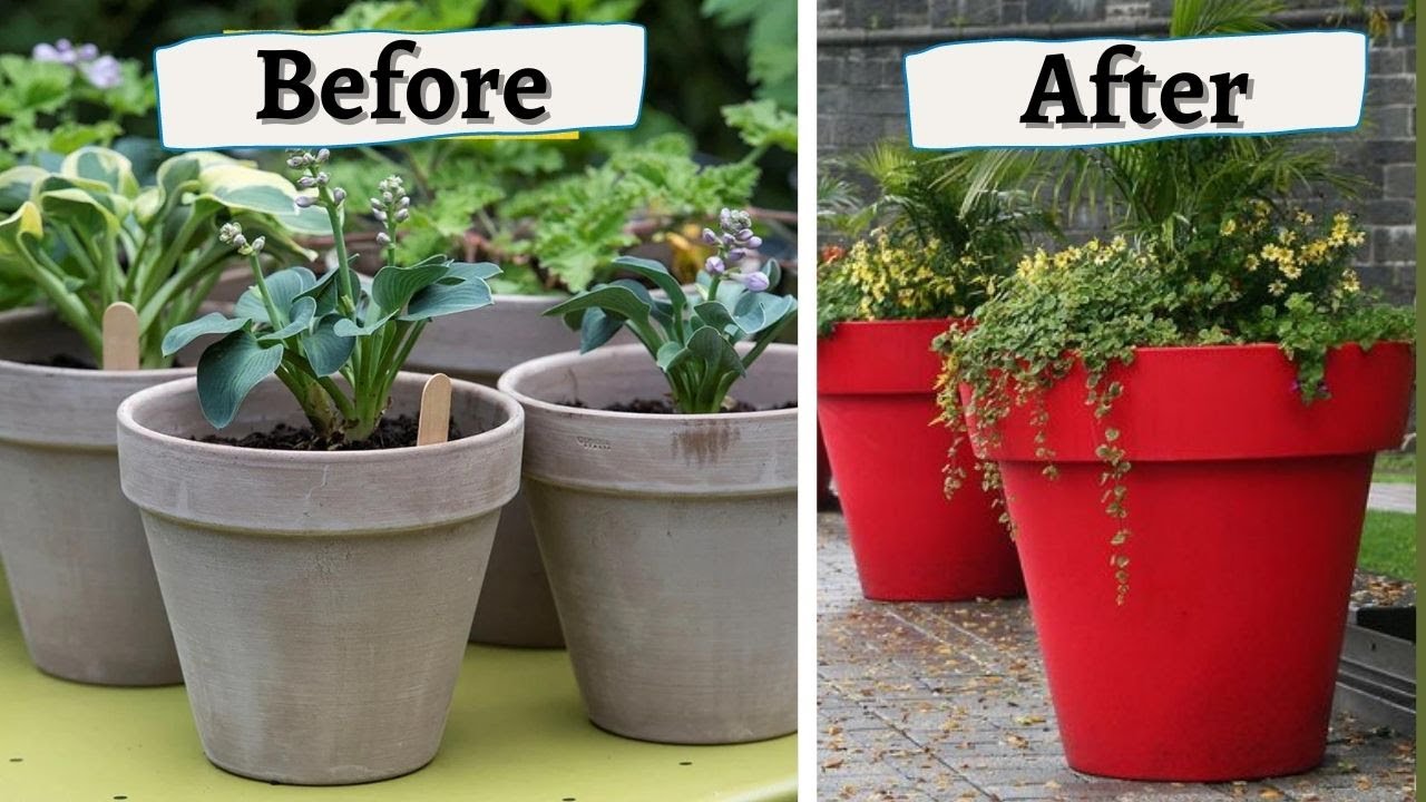 Best color for the pots ( looks amazing ) - YouTube