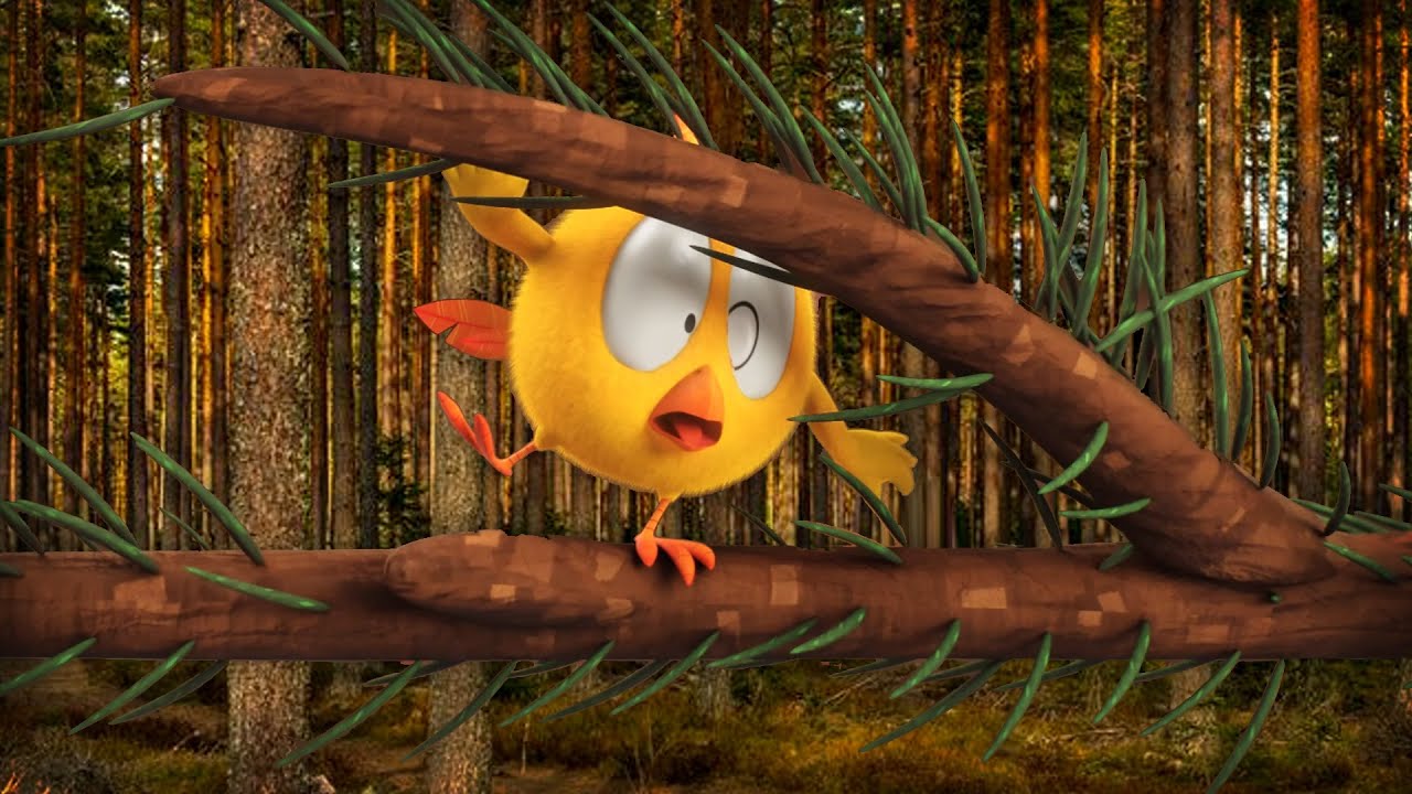 Where's Chicky? Funny Chicky 2022 🌲 CHICKY IN THE FOREST | Chicky ...