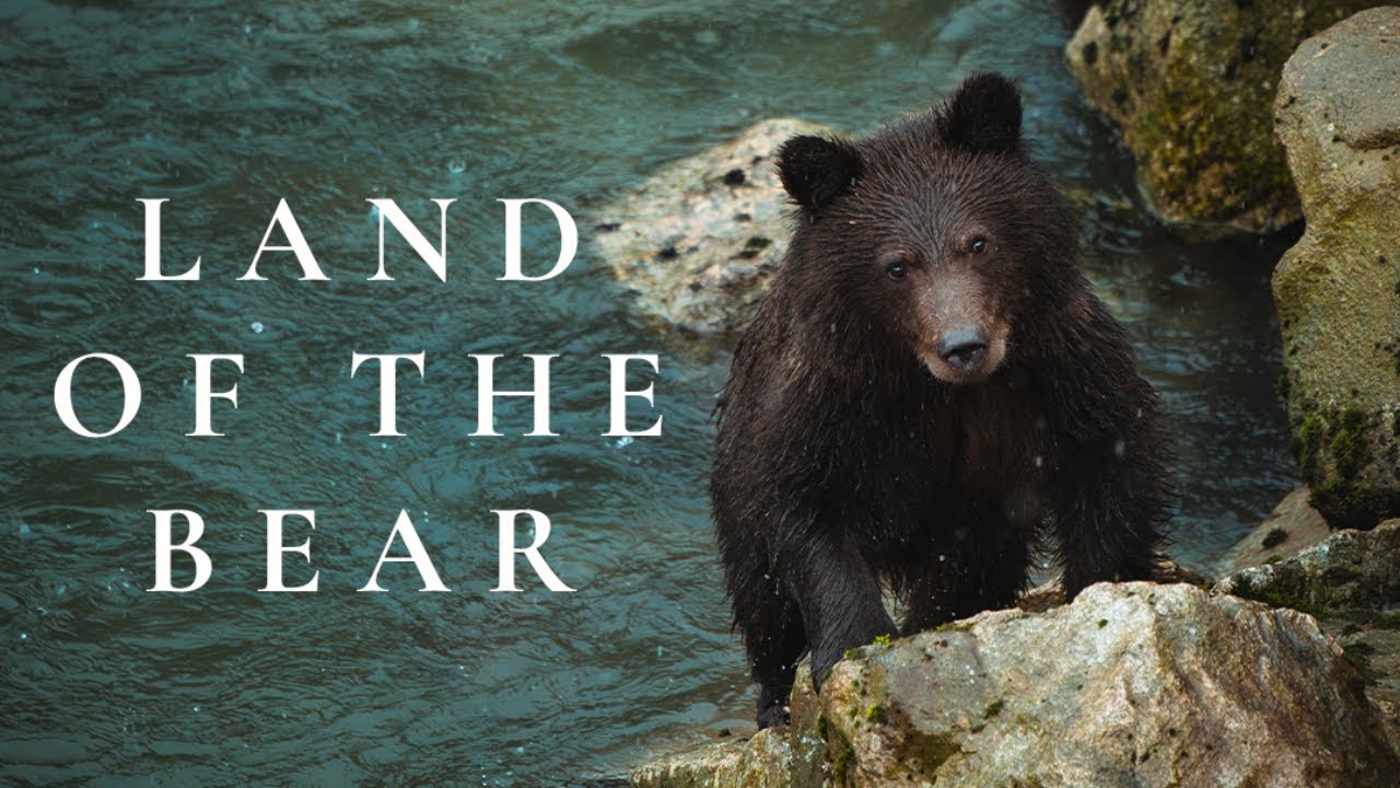 LAND OF THE BEAR - SHOT ON S5IIX AND GRADED WITH DEHANCER - YouTube