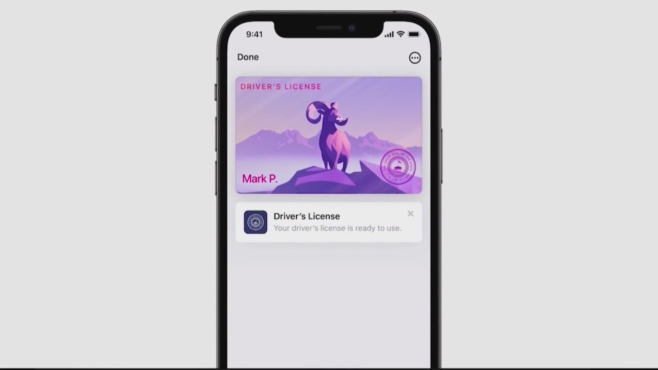 Digital driver's licenses coming to Illinois in 2025 - YouTube