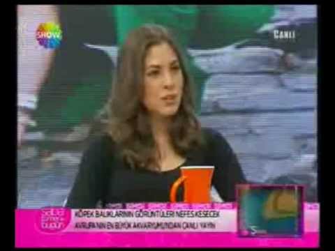 Pis Yedili - Saba Tümer