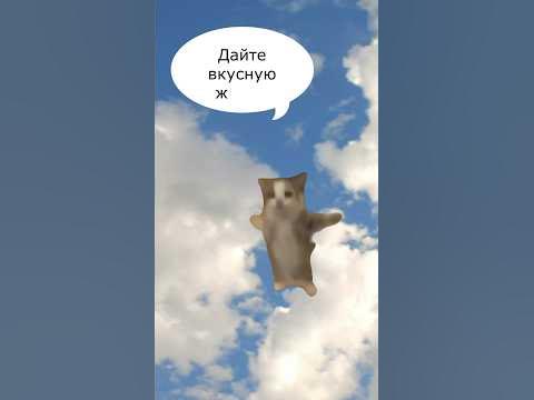 Котик Хаппи и его приключения 😄 🔞 - YouTube
