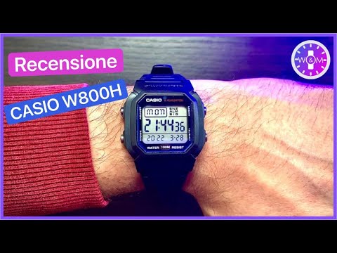 Recensione CASIO W800-H, un autentico BEST BUY! - YouTube